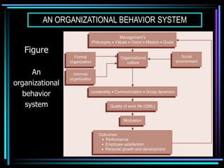 Models of Organizational Behavior Ch 2.ppt
