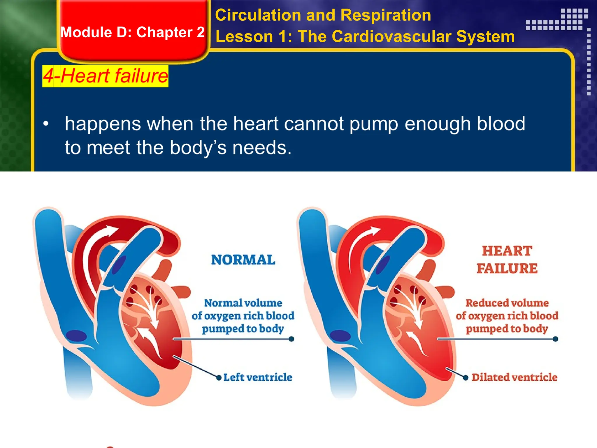 Ch 2.1 Cardiovascular system grade 7 biology levels | PPT