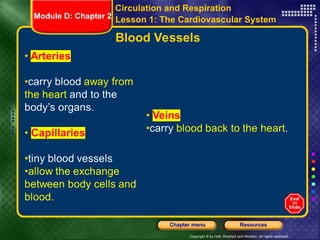 Ch 2.1 Cardiovascular system grade 7 biology levels | PPT