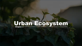 Urban ecology - what is the ecosystem.pptx