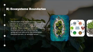 Urban ecology - what is the ecosystem.pptx