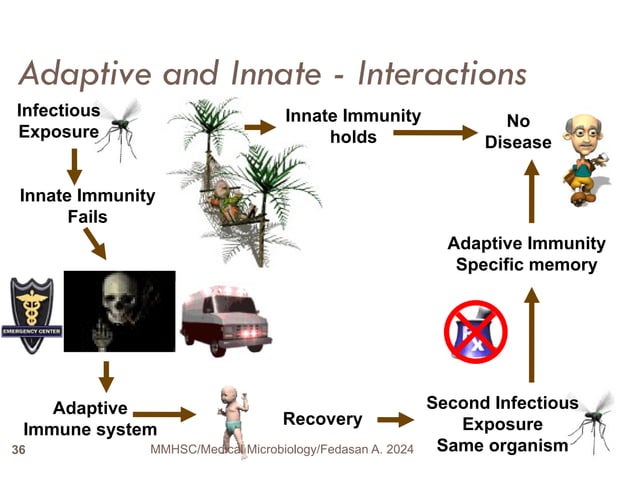 Chapter 2- Basic Immunology microbiology.pptx