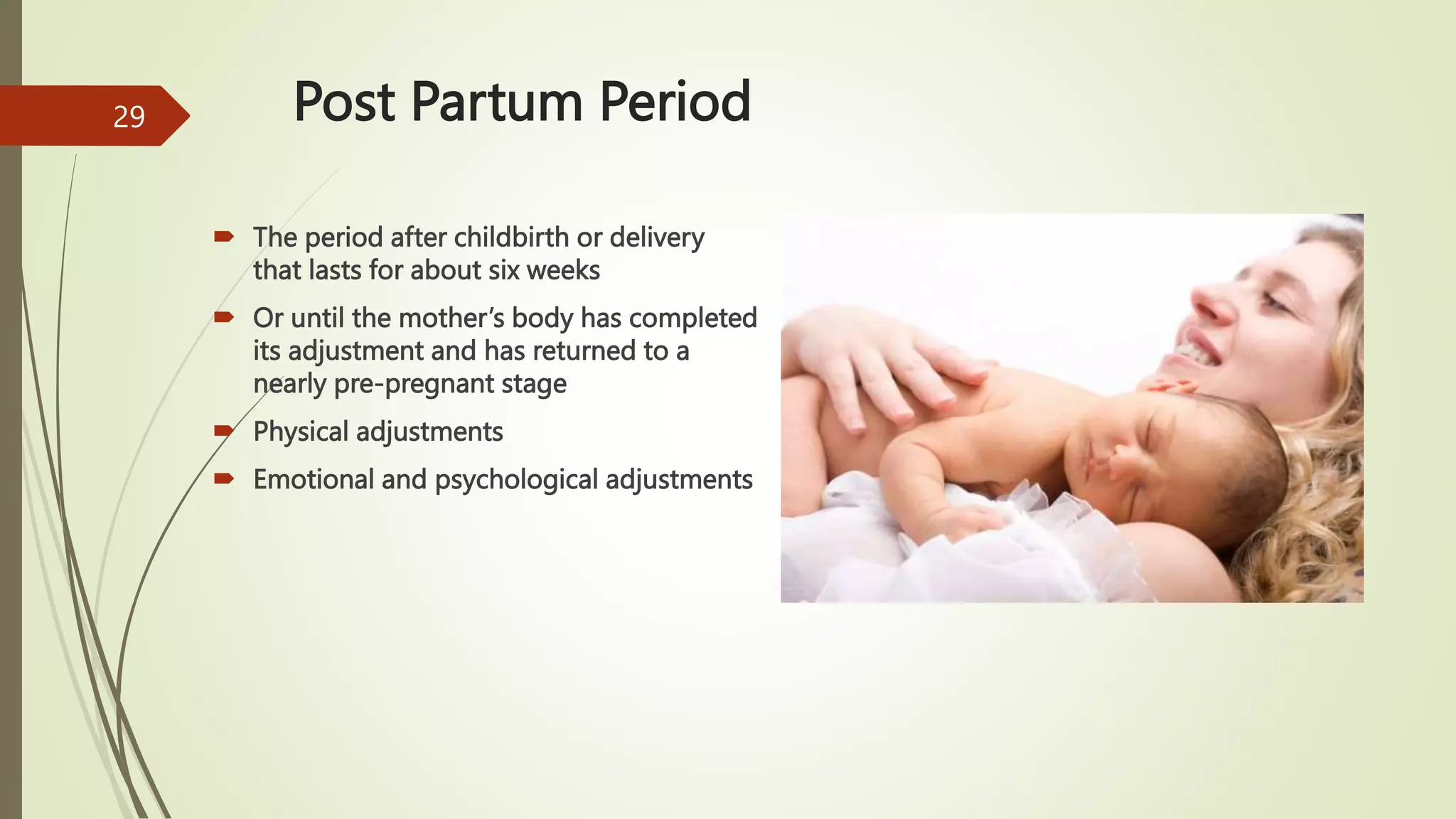 CH2-BIOLOGICAL BEGINNINGS (inclass).pptx