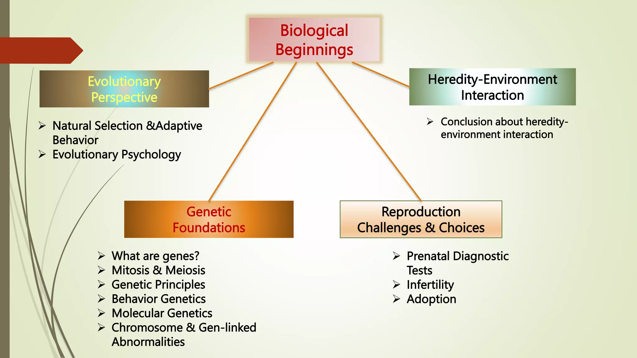 CH2-BIOLOGICAL BEGINNINGS (inclass).pptx