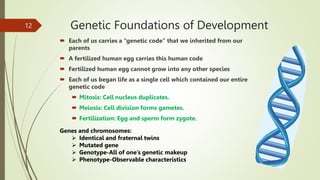 CH2-BIOLOGICAL BEGINNINGS (inclass).pptx