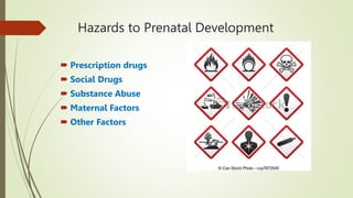 CH2-BIOLOGICAL BEGINNINGS (inclass).pptx