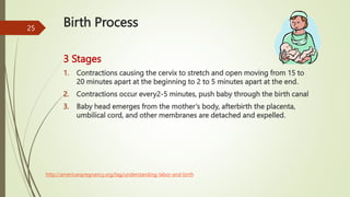 CH2-BIOLOGICAL BEGINNINGS (inclass).pptx