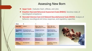 CH2-BIOLOGICAL BEGINNINGS (inclass).pptx