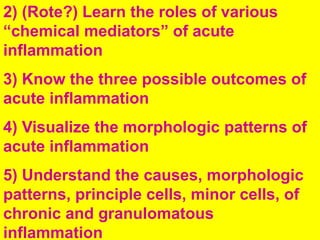 Inflammation General Pathology | PPT