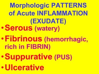 Inflammation General Pathology | PPT