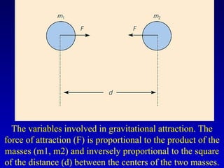Ch2 part 2- patterns of motion | PPT