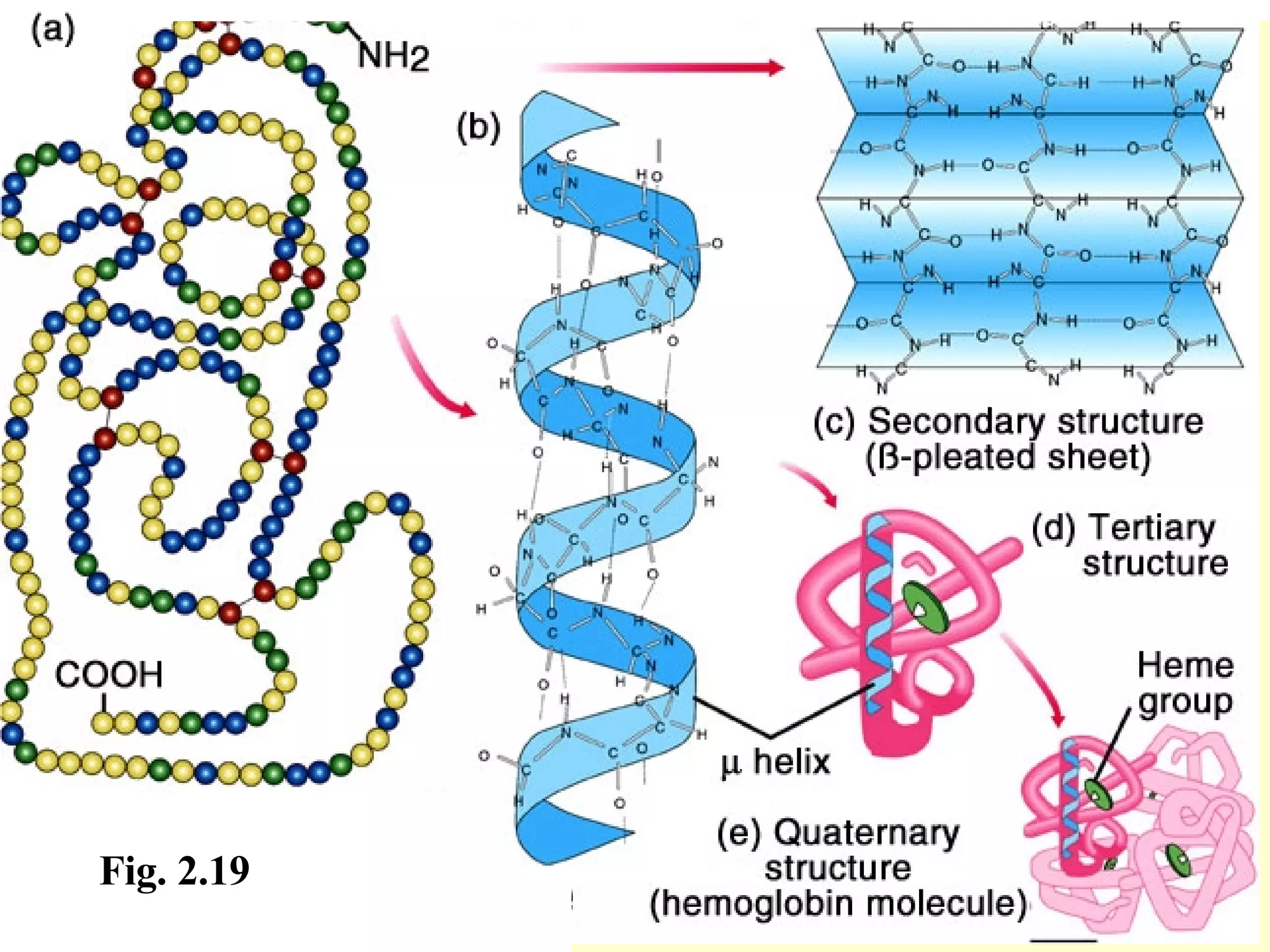 Ch2 Ppt Lect 1 | PPT