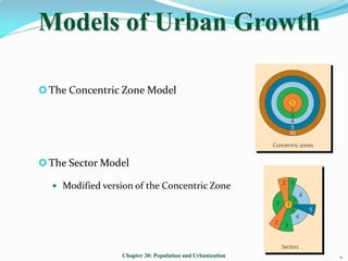 Population & Urbanization | PDF | Geography | Science
