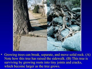 Ch20 shaping the earths surface | PPT