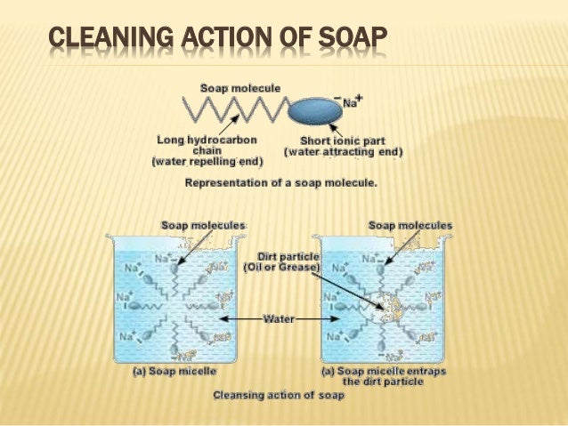 Soaps and Detergents