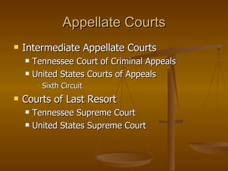 Ch 20 Appeals Process | PPT