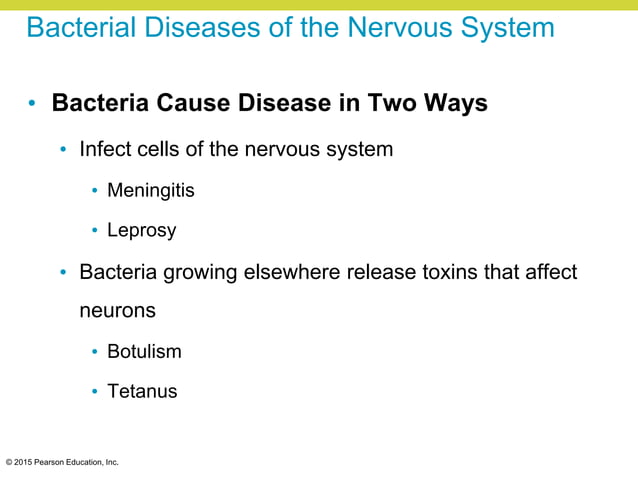 Ch20lecturepresentation 150831183508-lva1-app6892 | PPT
