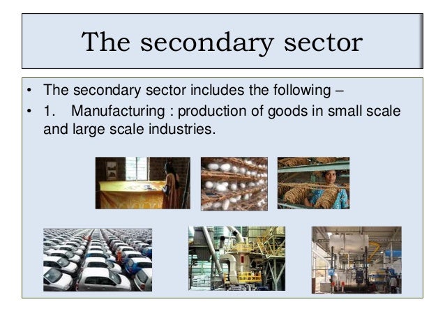 NIOS STD X Economics Ch 20 sectoral aspets