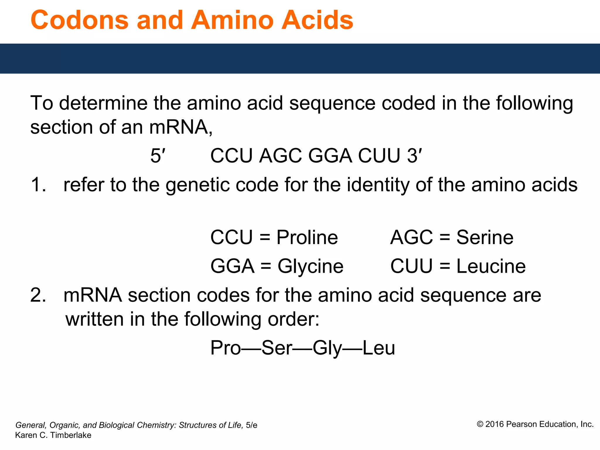 CH_21_6_Genetic_Code_Protein_Synthesis_5th_ed.pptx