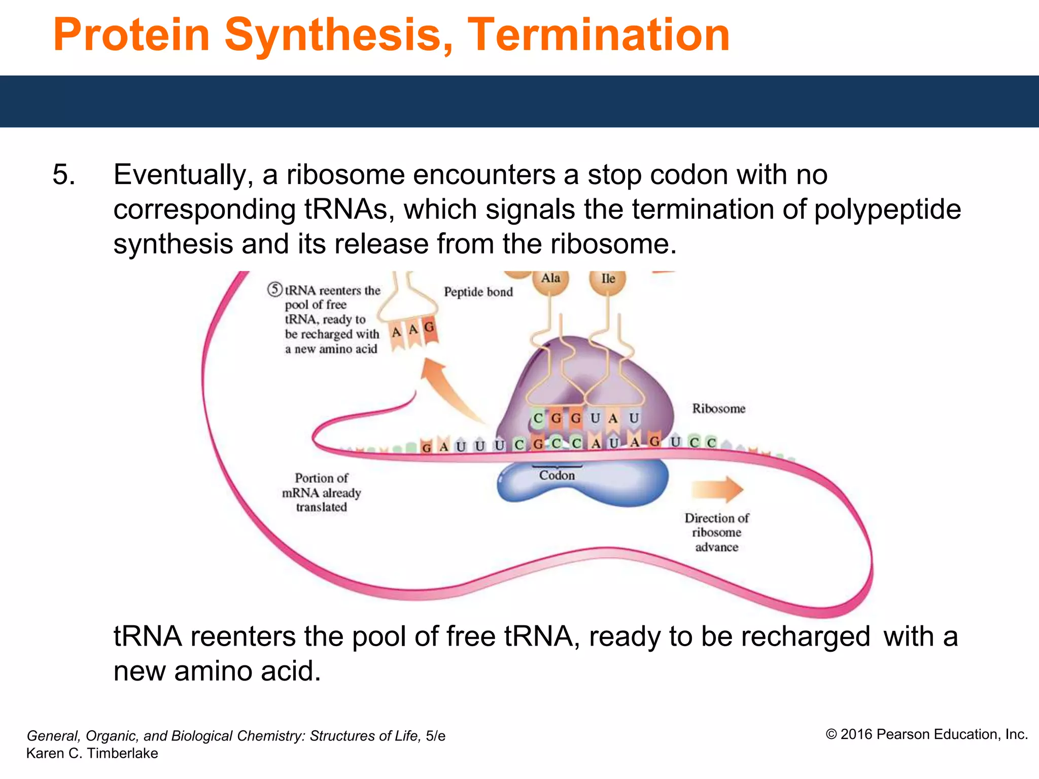 CH_21_6_Genetic_Code_Protein_Synthesis_5th_ed.pptx
