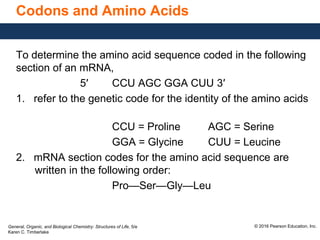 CH_21_6_Genetic_Code_Protein_Synthesis_5th_ed.pptx