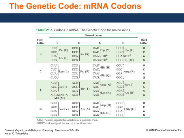 CH_21_6_Genetic_Code_Protein_Synthesis_5th_ed.pptx