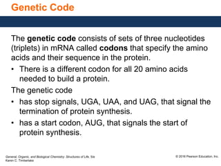 CH_21_6_Genetic_Code_Protein_Synthesis_5th_ed (5).pptx