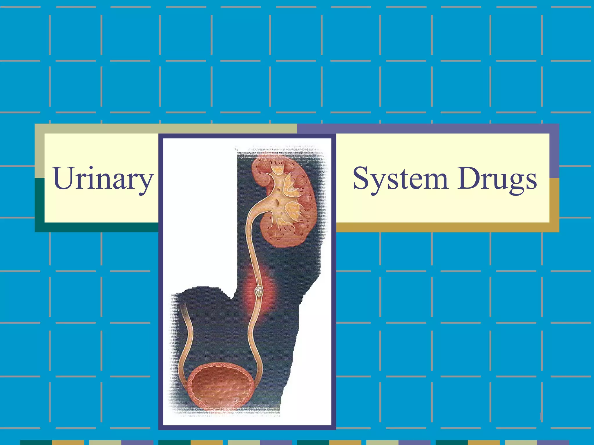 urinary system drugs | PPT