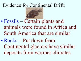 Ch 22 4 theory of plate tectonics | PPT