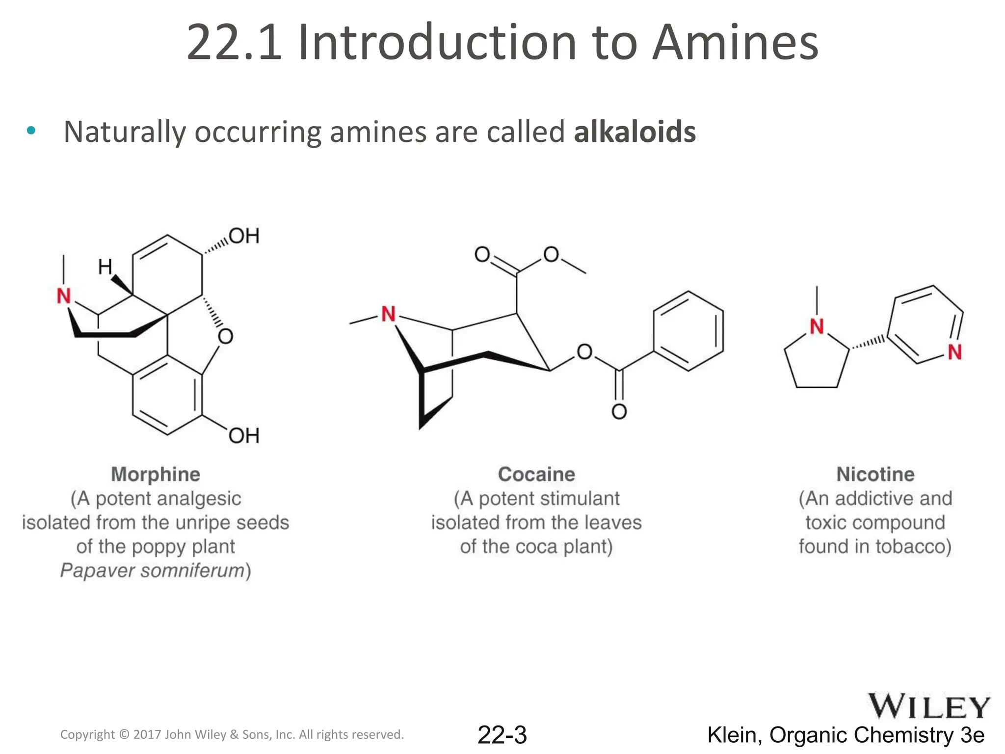 ch22 (1)-organic biochemistry kkkkk.pptx