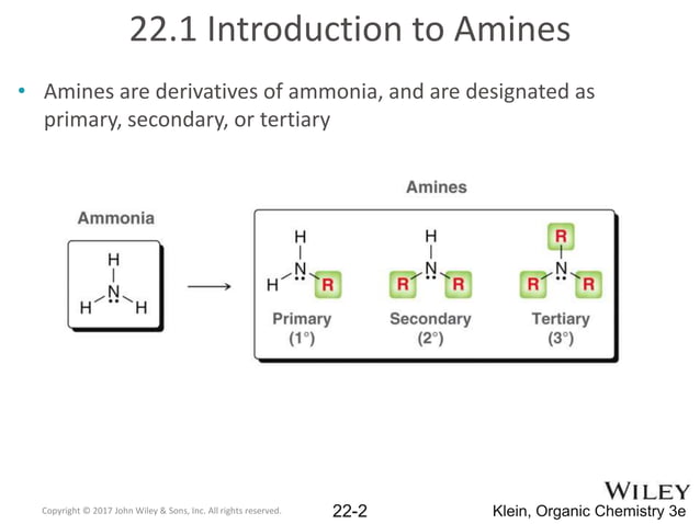 ch22 (1)-organic biochemistry kkkkk.pptx