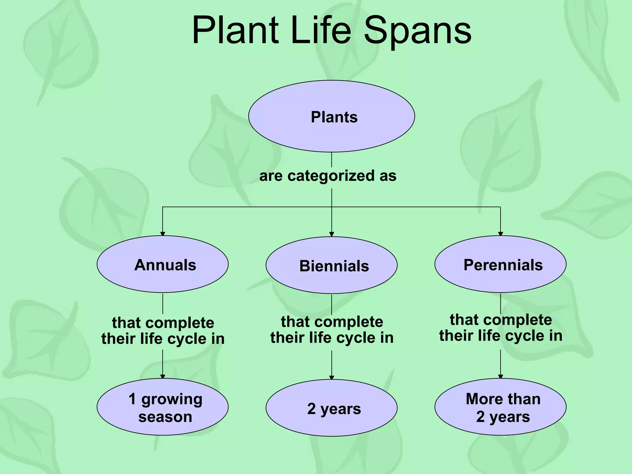 Ch22 Intro to Plants | PPT