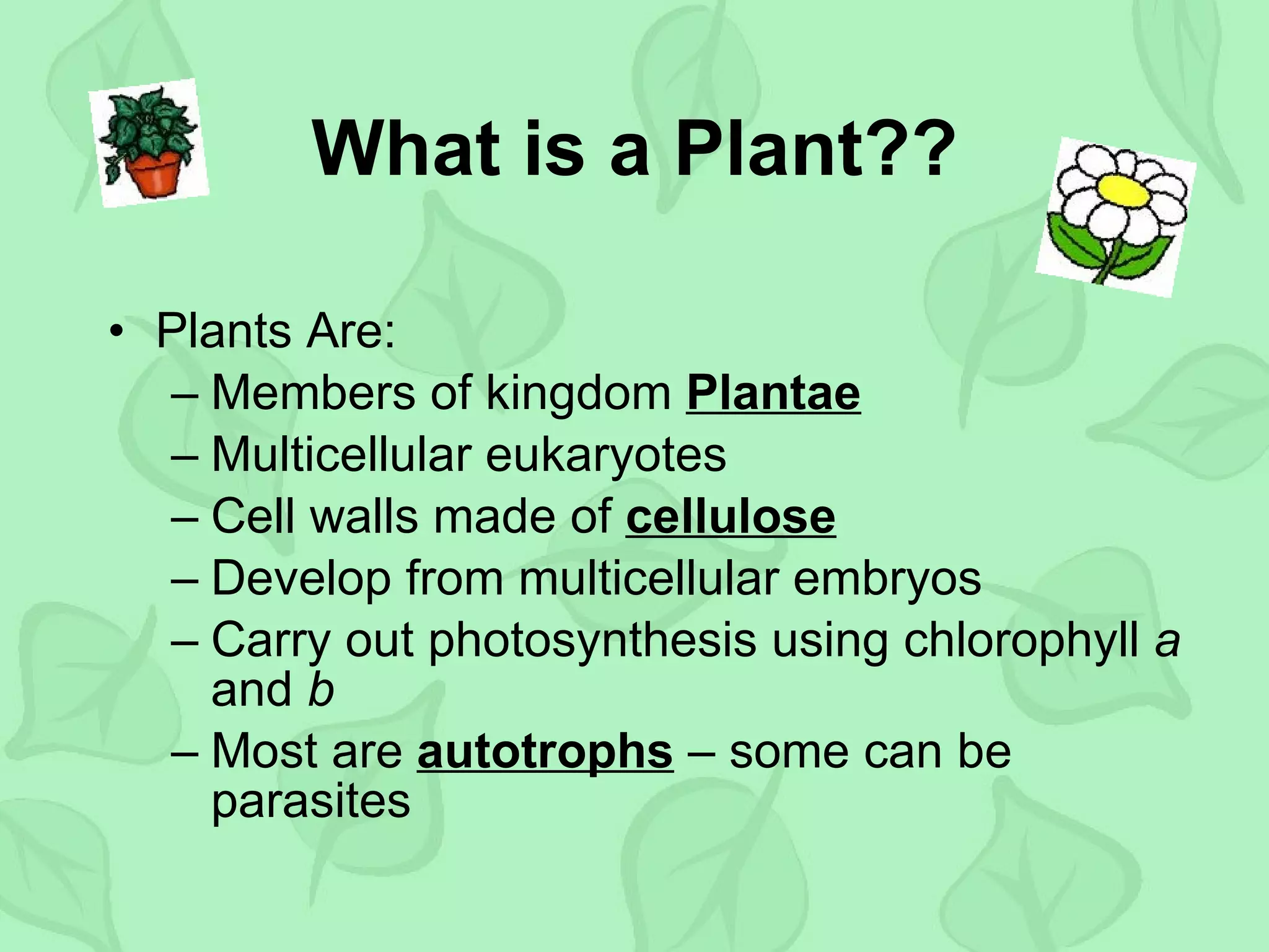 Ch22 Intro to Plants | PPT
