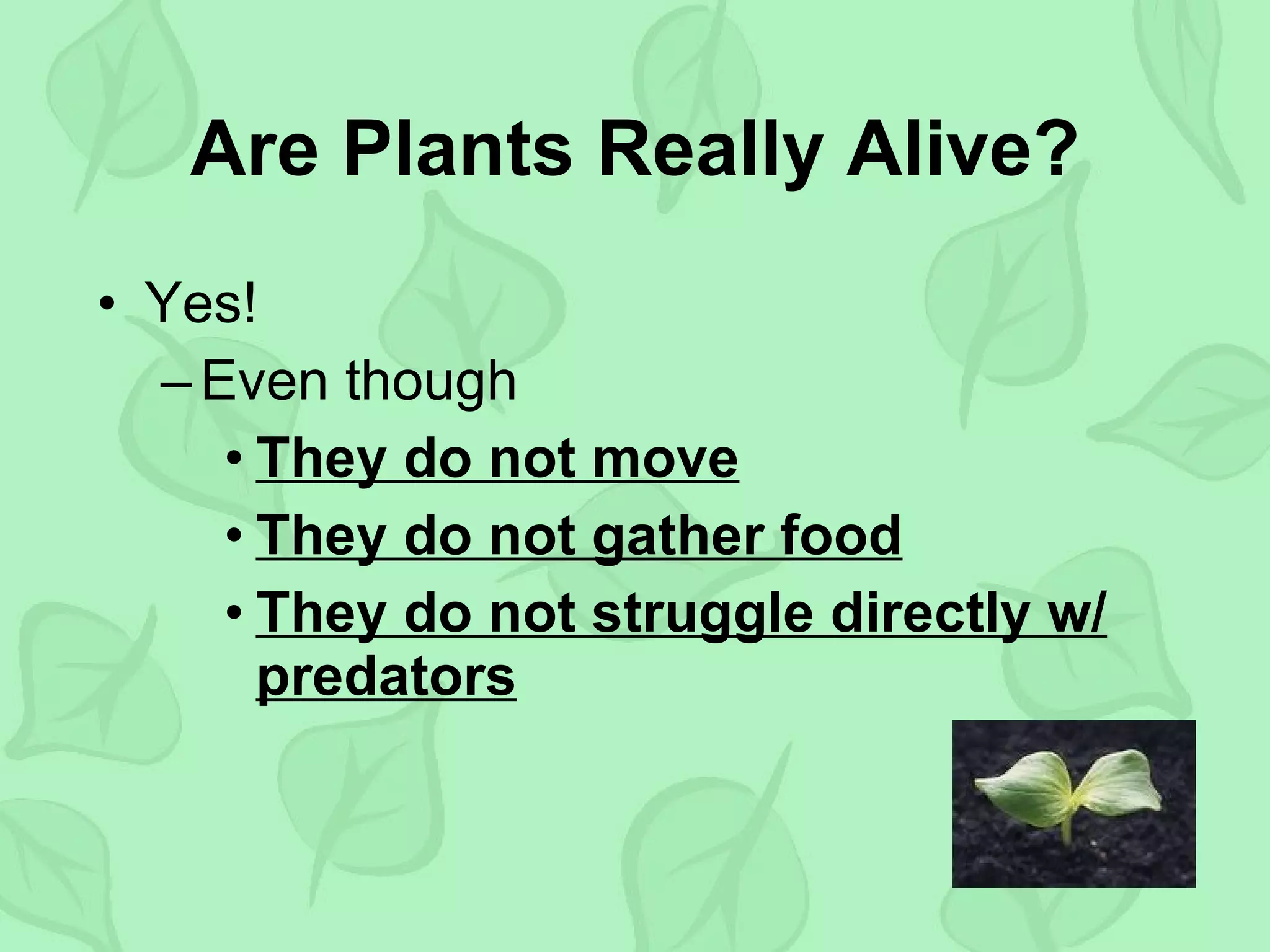 Ch22 Intro to Plants | PPT