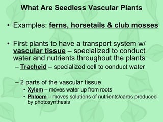 Ch22 Intro to Plants | PPT