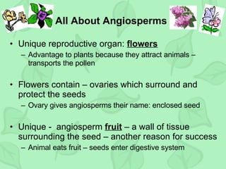 Ch22 Intro to Plants | PPT