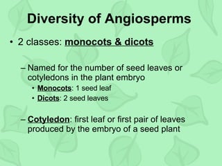 Ch22 Intro to Plants | PPT