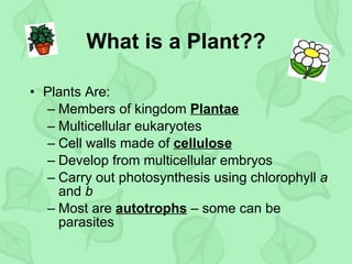 Ch22 Intro to Plants | PPT