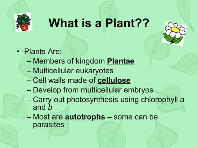 Ch22 Intro to Plants | PPT