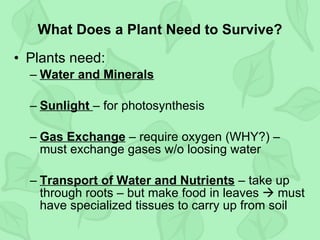 Ch22 Intro to Plants | PPT