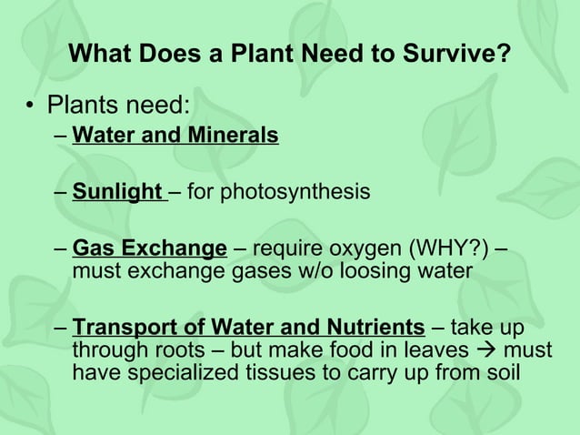 Ch22 Intro to Plants | PPT