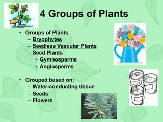 Ch22 Intro to Plants | PPT