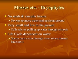 Ch22 intro to plant | PPT