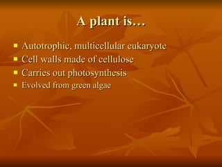 Ch22 intro to plant | PPT
