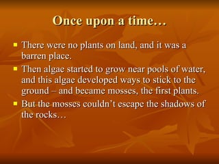 Ch22 intro to plant | PPT