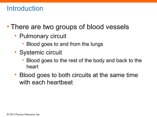 Ch22lecturepresentation 140918213700-phpapp01 | PPT