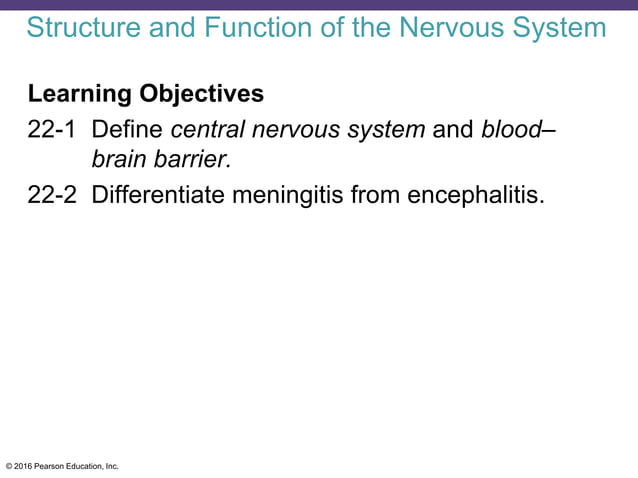Ch 22_lecture_presentation | PPTX