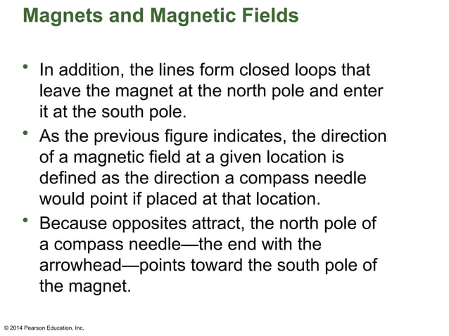 Magnetism and Magnetic Fields PowerPoint | PPTX
