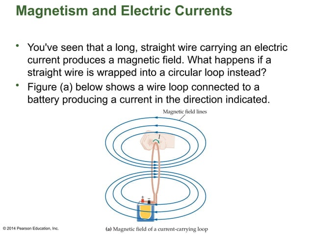 Magnetism and Magnetic Fields PowerPoint | PPTX