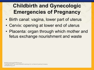 Ch22 presentation childbirth_and_gynecologic | PPTX